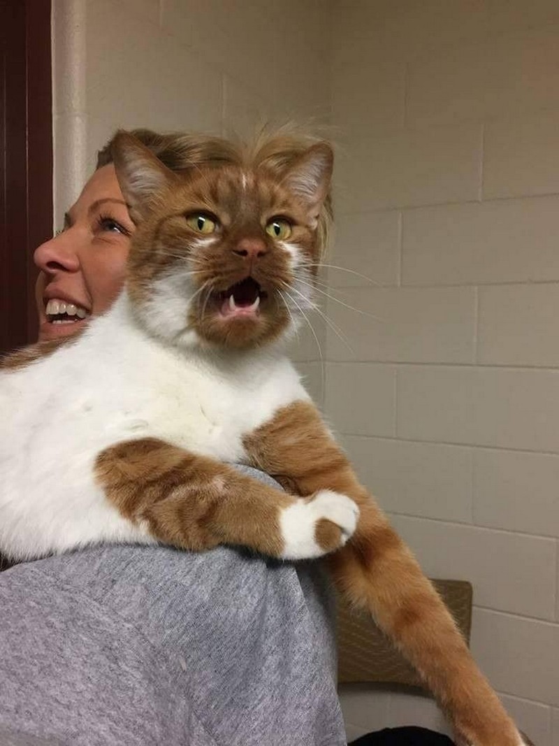 Подборка интересных и веселых картинок - ЯПлакалъ