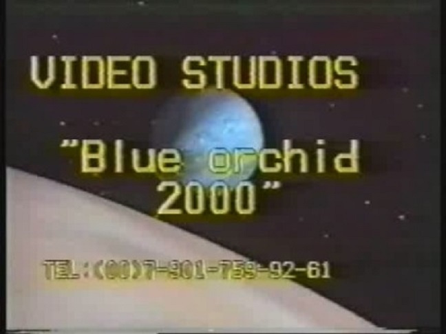 Операция «Голубая орхидея». Как в Москве накрыли студию по производству ...