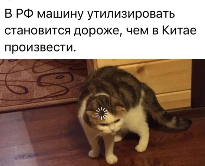 Митинг против повышения утилизационного сбора во Владивостоке разрешен ...