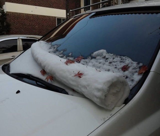 Подборка интересных и веселых картинок 30.11.18 - ЯПлакалъ